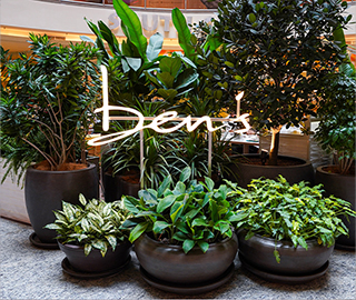 Ben's | Mid Valley Megamall
